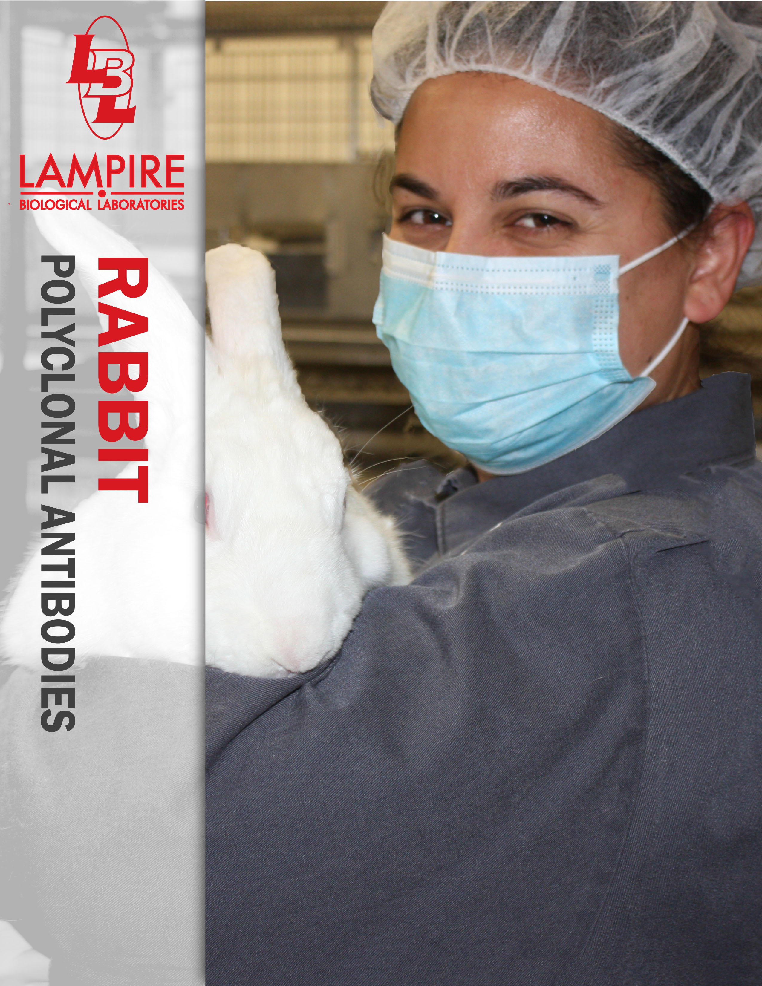 Rabbit | Lampire Biological Laboratories, Inc.